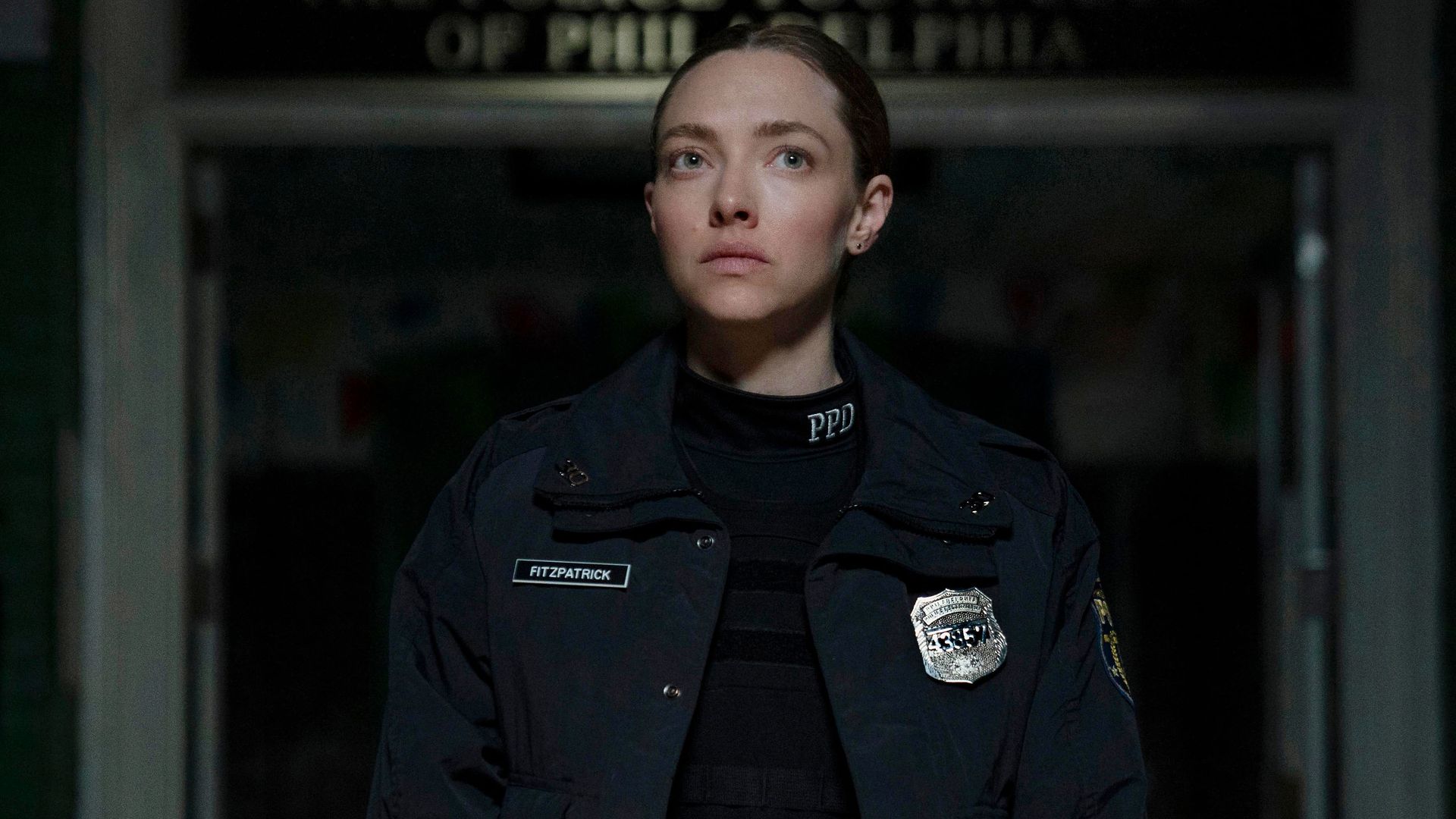 Si te gustó ‘True Detective’, la nueva serie de Amanda Seyfried te va a ...