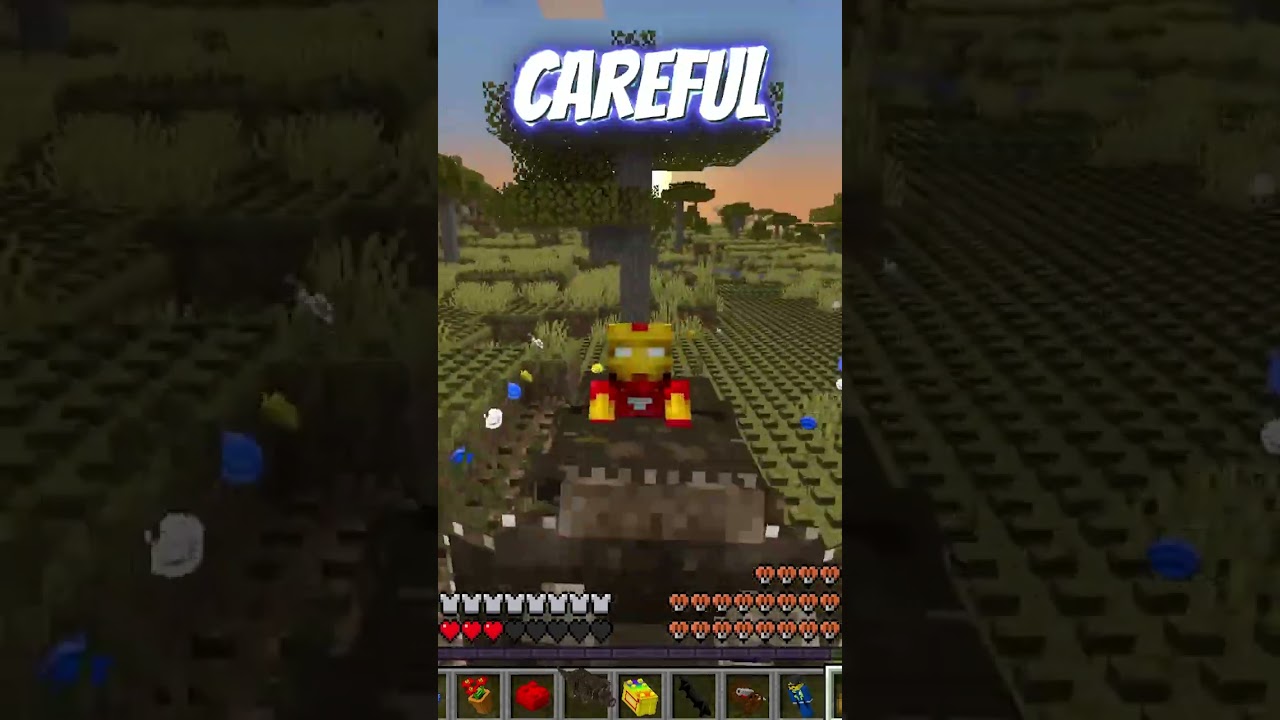 I upgraded my horse in Minecraft