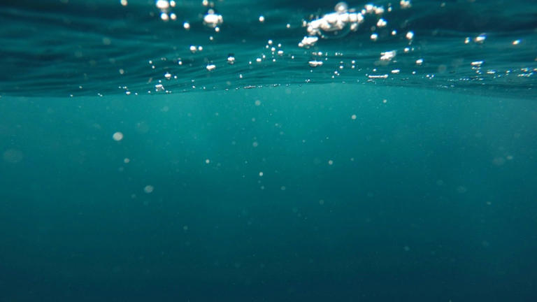 Water Intoxication: A Real Risk in Excessive Hydration