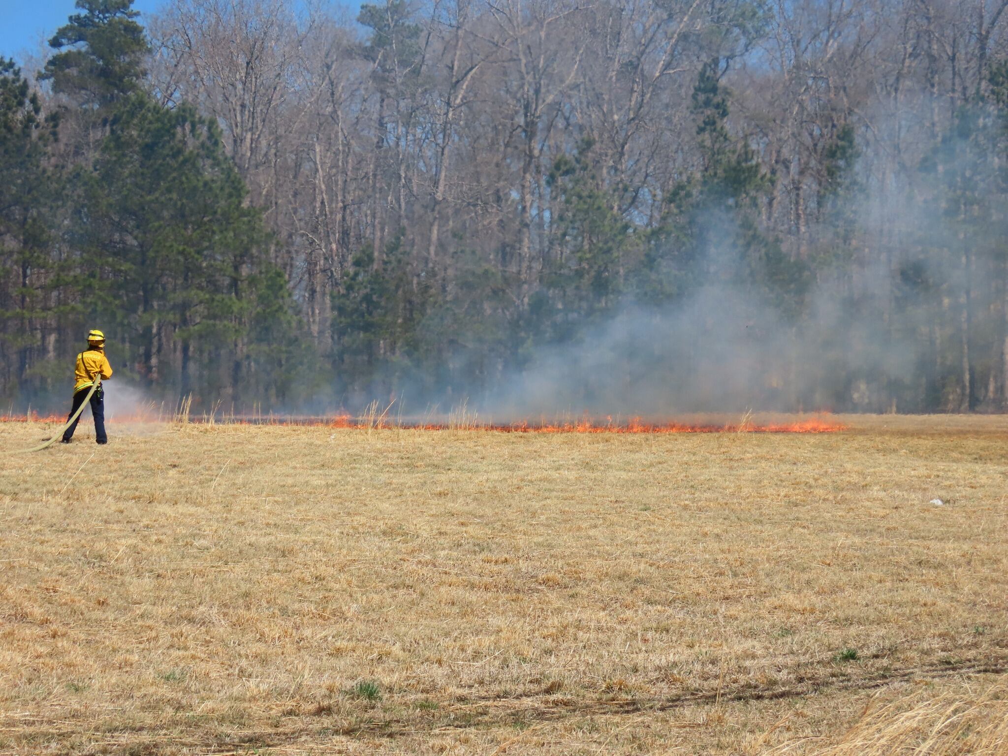 Buzzard lands on power line, sparking brush fire in Chesterfield