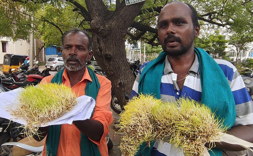 Paddy procurement delayed by over two weeks in Ayyankottai, allege ...