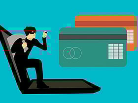 How I managed to dodge credit card scammers