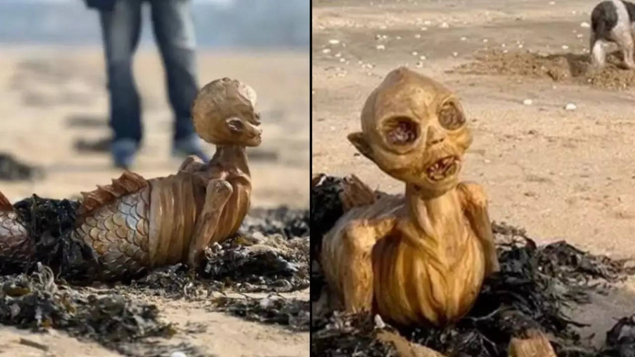 Mysterious 'Skeleton-Like' Figure Found On UK Beach; Viral Photos Leave ...