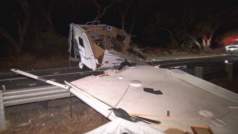 Dog left behind after driver runs from wreckage, after caravan crash in ...