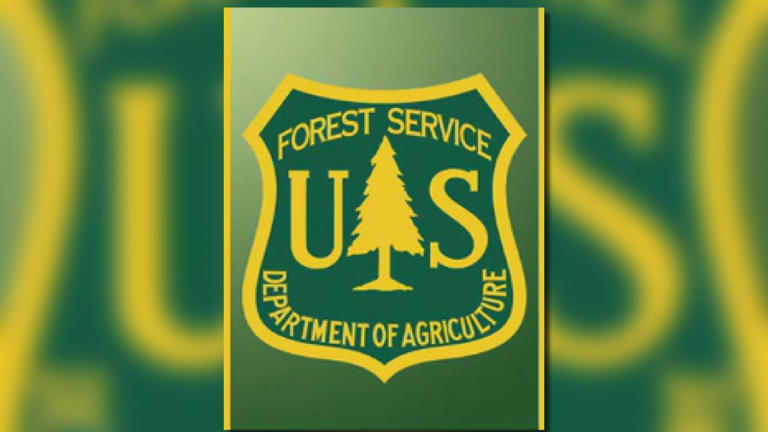 Firefighters enter day three of battling a wildfire in Ocala National ...