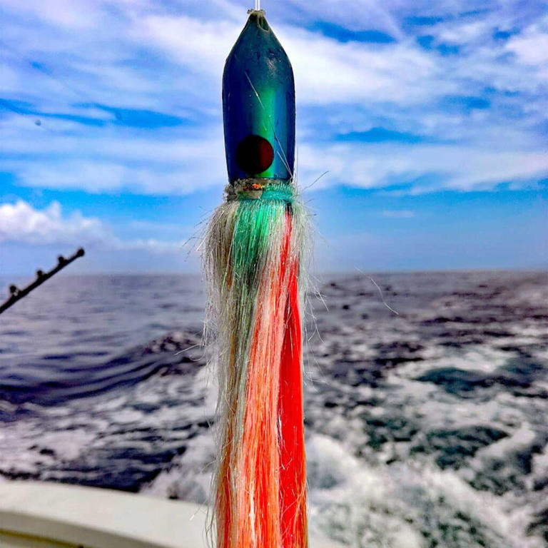 Kona Produces Third Grander Blue Marlin in Eight Months