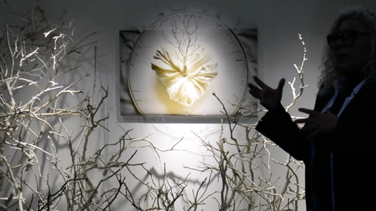 Tinc el cor encés en flama