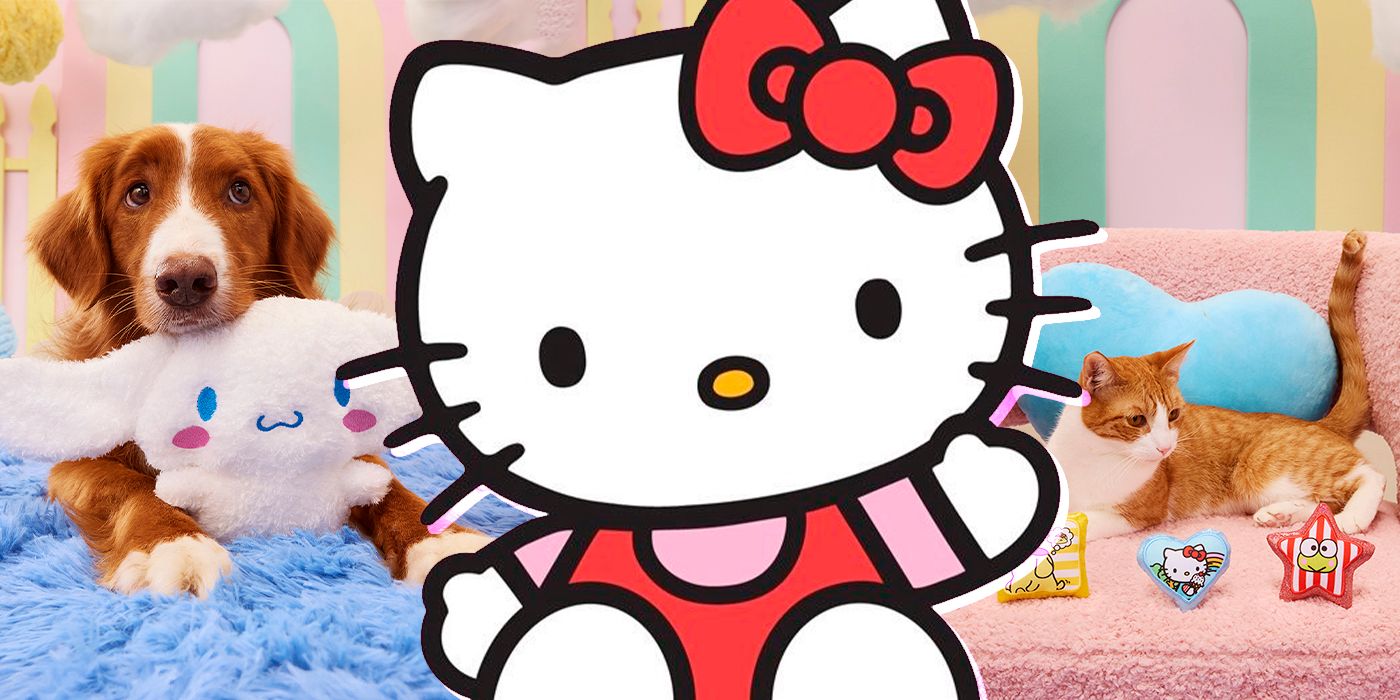Hello Kitty, Kuromi & More Return to PetSmart With Pawsitively Kawaii ...