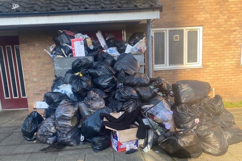 Ladywood mum slams fly-tippers using bin strike as 'excuse to dump ...