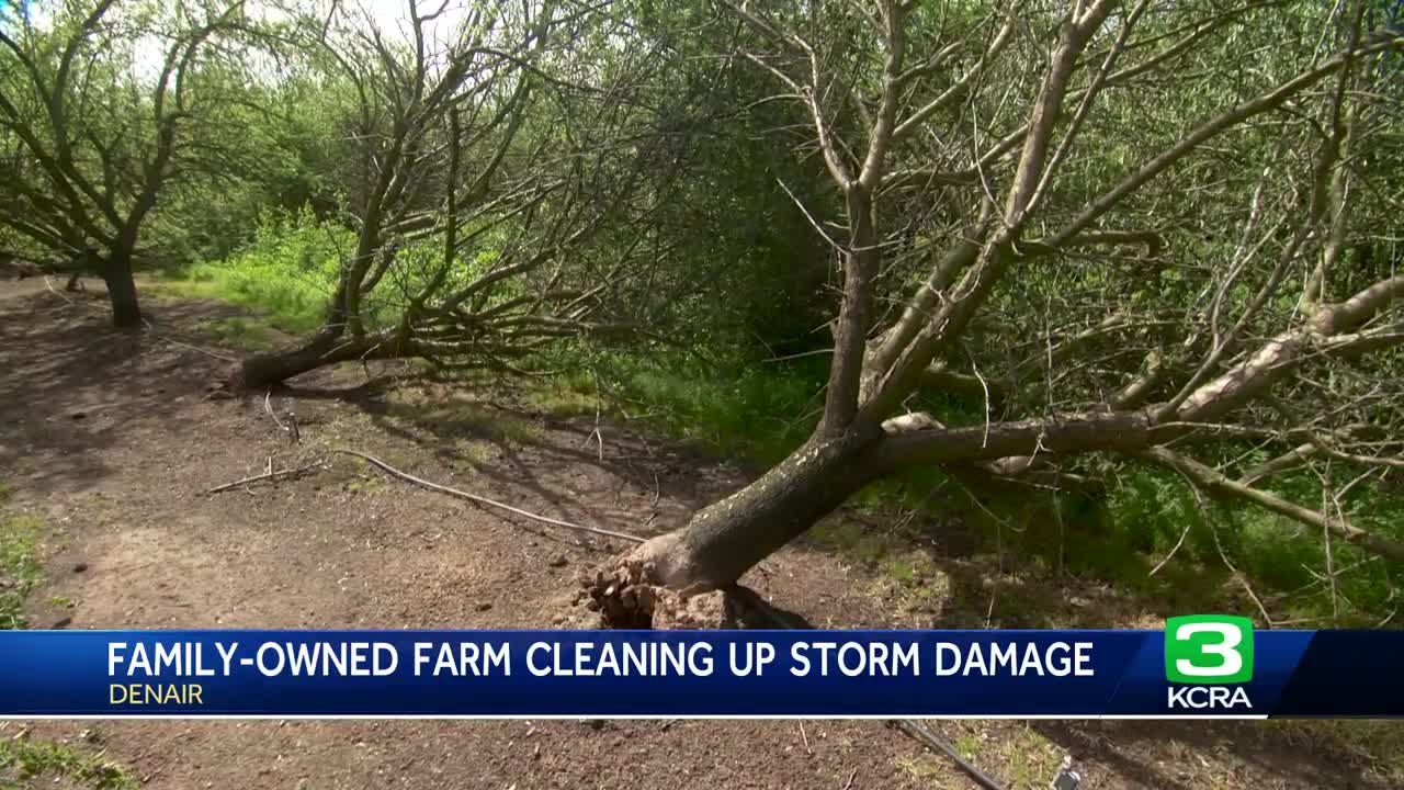 Powerful winds topple hundreds of almond trees at Stanislaus County ...