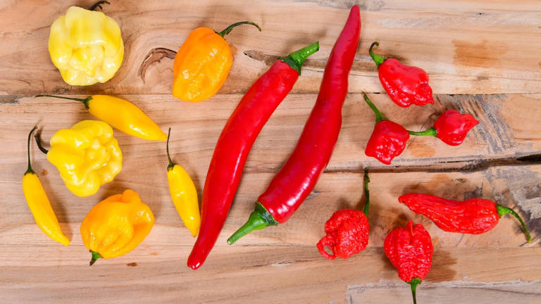 Chili-Sorten: So unterscheiden sie sich | Überblick