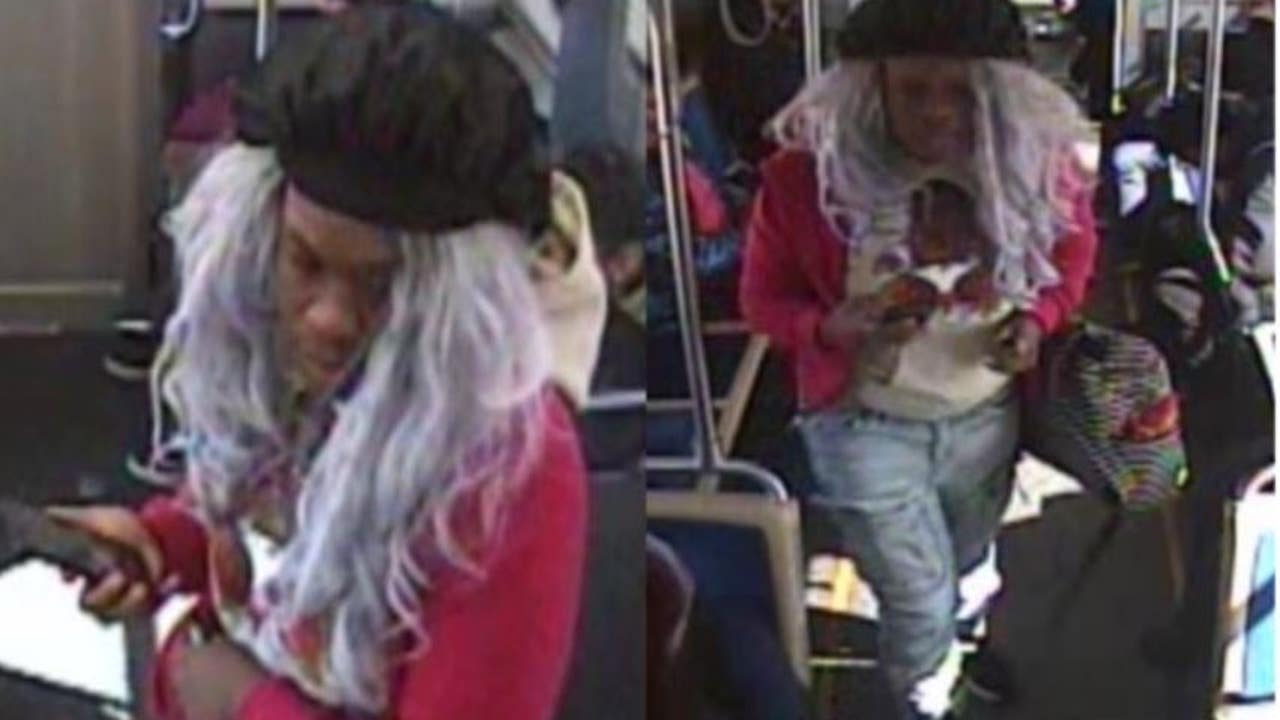 Chicago train robbery suspect struck victim, took her cellphone, police say