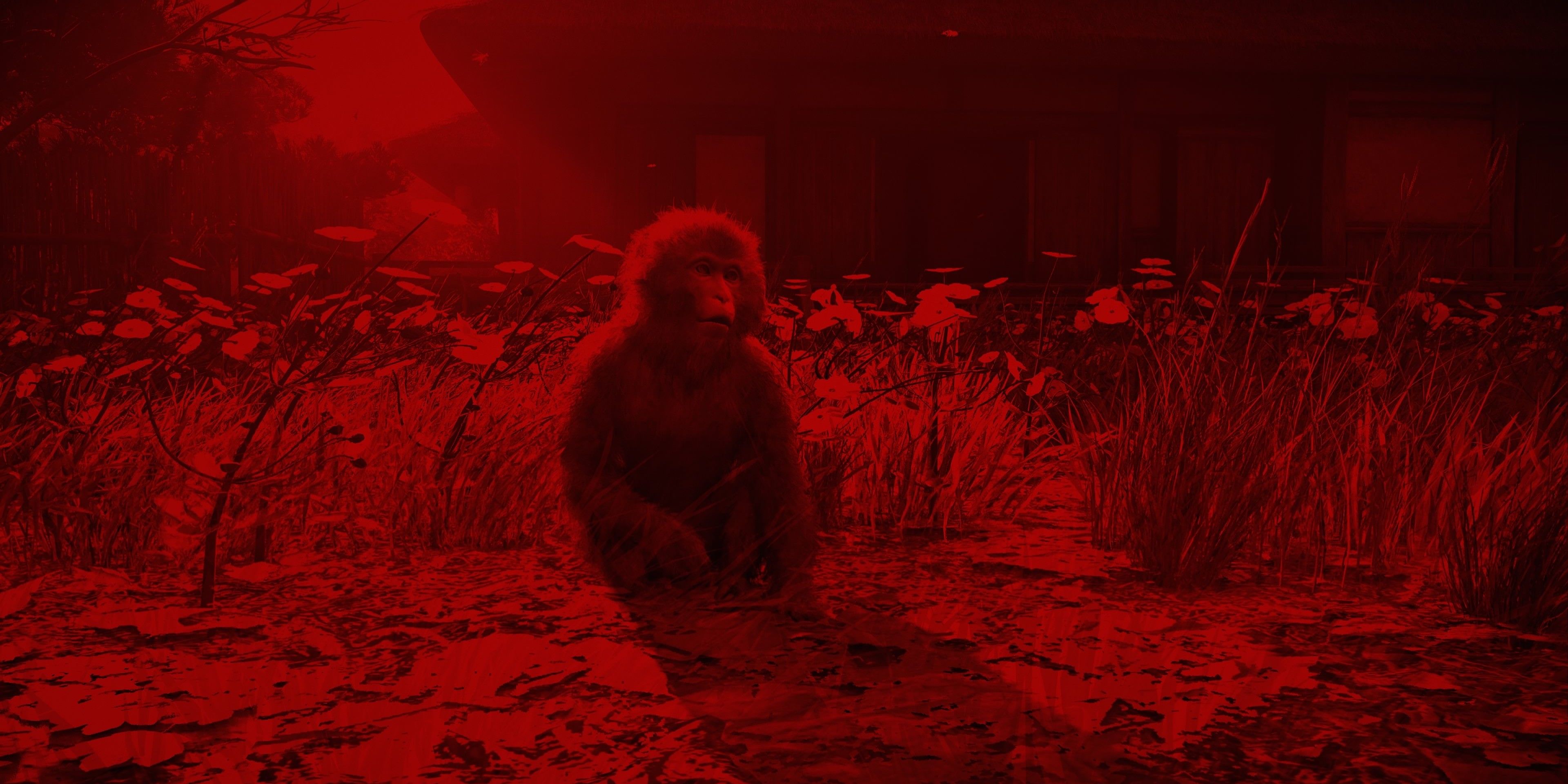 Assassin's Creed Shadows: How To Get Monkeys For Your Hideout