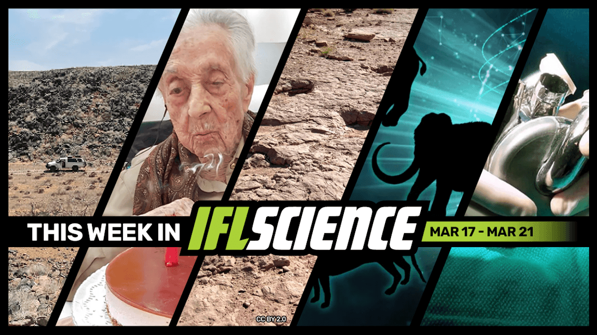 Unknown Lifeform Made Desert Structures Over A Million Years Ago ...