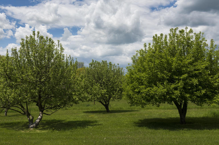 I visit a small region in upstate New York whenever I'm craving a taste ...