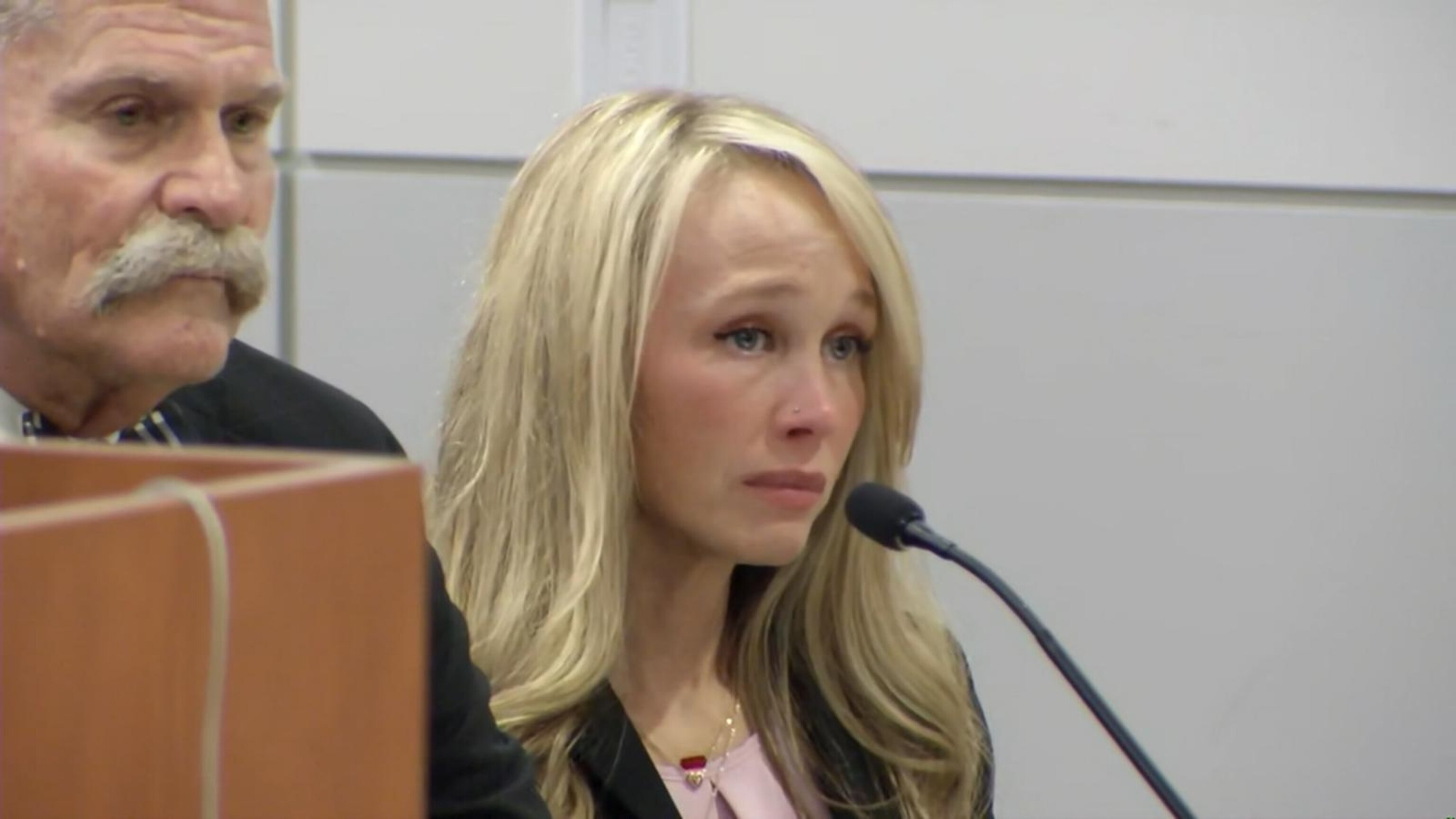 Sherri Papini fights for custody of her children