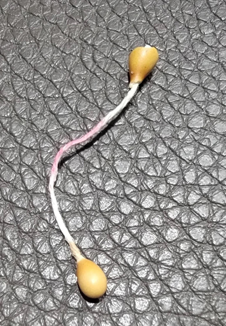 These 21 "Unidentifiable" Items Were Total Mysteries Until The Internet ...