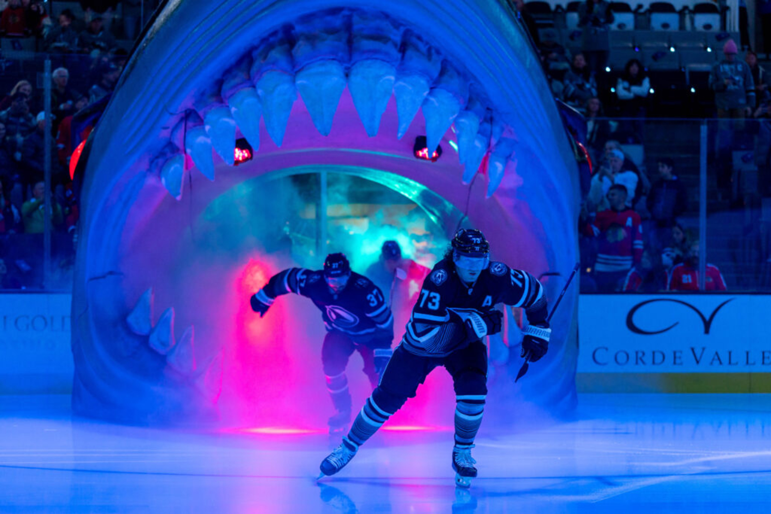 San Jose Sharks Rookie Signed To 3 Year Entry-Level Contract