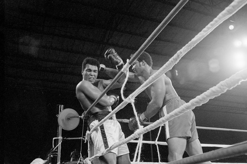 BBC Breakfast presenter announces heartbreaking death of legendary ...