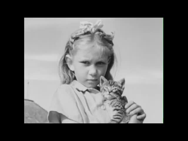 Wisconsin Dairy Farm: Guernsey Cattle & Family Farming