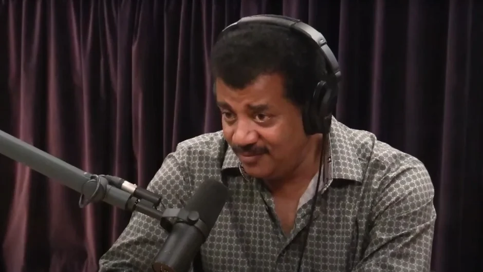 14 Most Beautiful Bird Songs You Can Hear in America