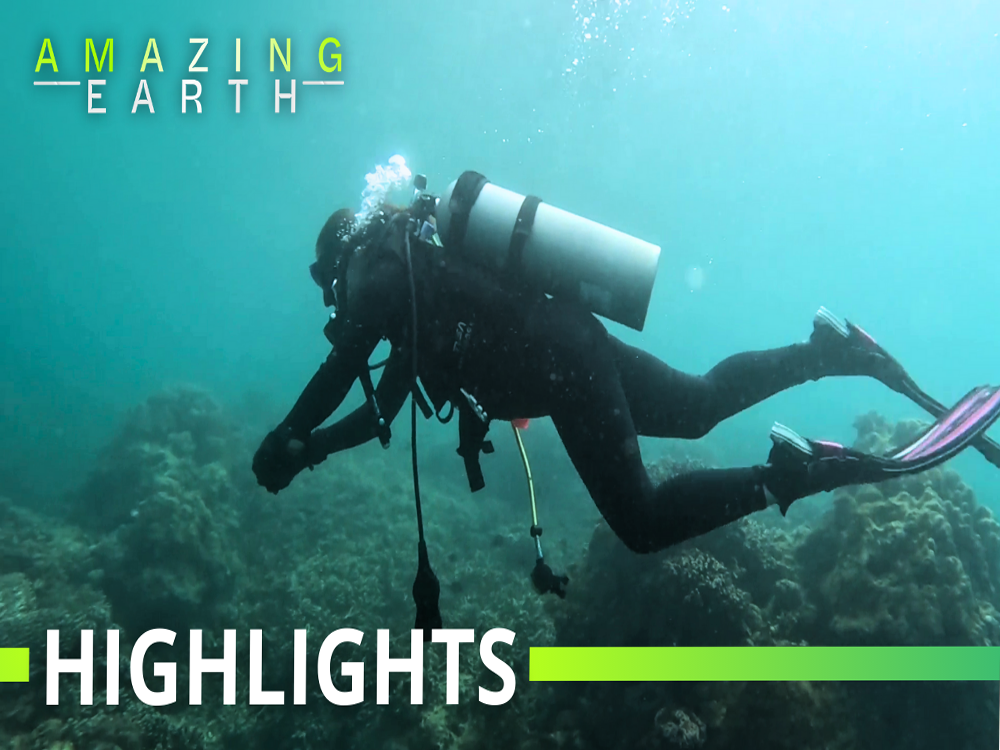 Amazing Earth: Sandy Riccio leads coastal cleanup in Batangas!