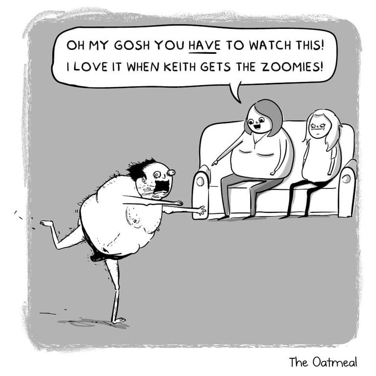 36 Funny Comics That Are Delightfully Unhinged "The Oatmeal"
