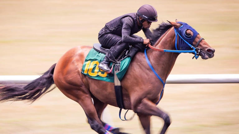 2025 Louisiana Derby prediction, odds, horses, contenders: Surprising ...