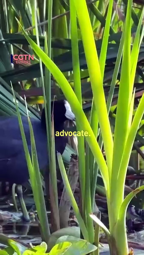 Kayaking for a cause: Saving Mexico City's ancient canals