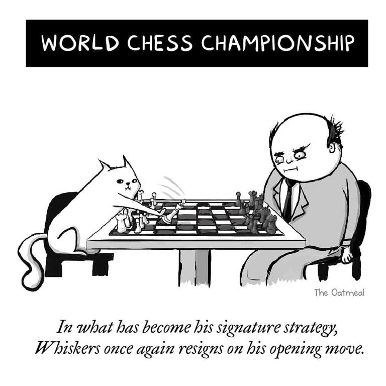 36 Funny Comics That Are Delightfully Unhinged "The Oatmeal"