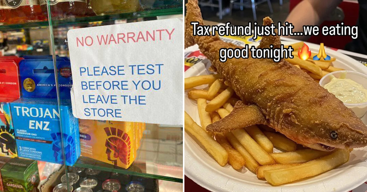 55 Funny And/Or Random Pictures For Your Daily Dose Of Randomness ...