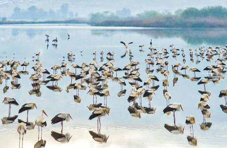 Free admittance to several major cultural, natural sites in Israel's North