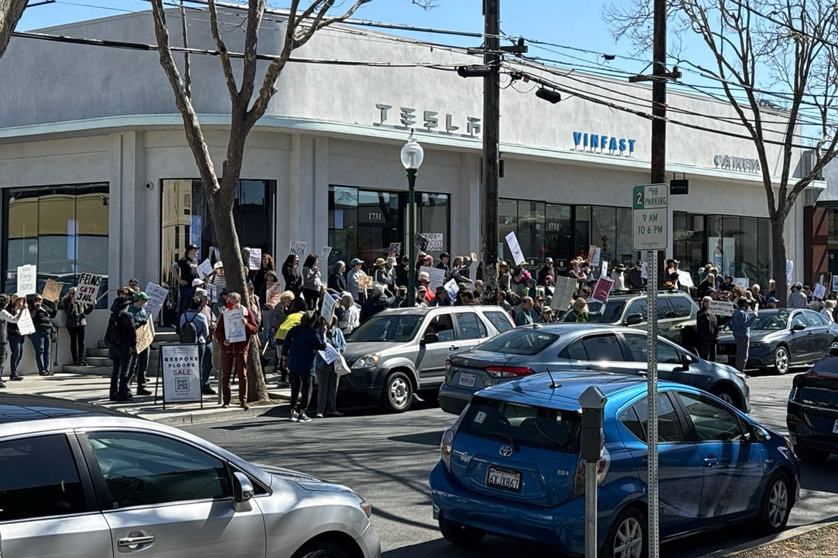 Berkeley 'Tesla Takedown': Police arrest counterprotester