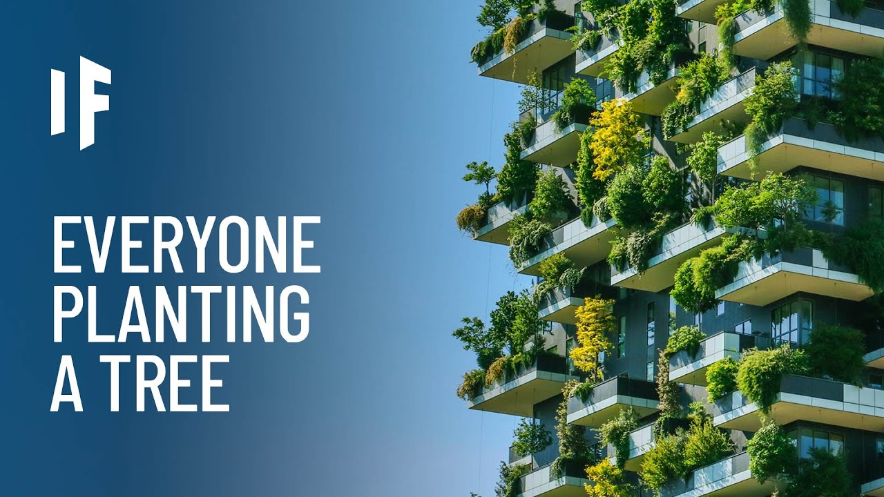 What the world would look like if everyone planted a tree yearly
