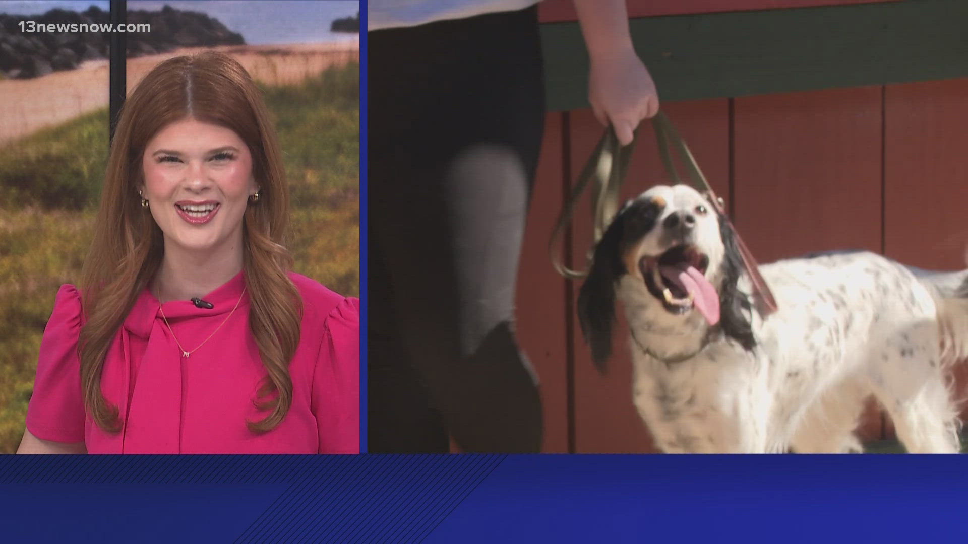 The first Tails and Trails at the Virginia Zoo helps enrich life for ...