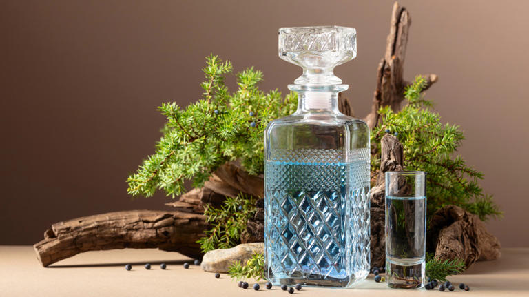 12 Little-Known Facts About The Gin And Tonic