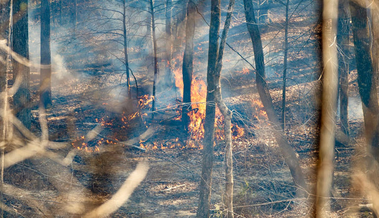 Henderson County burning ban canceled as of April 2 as wildfire ...