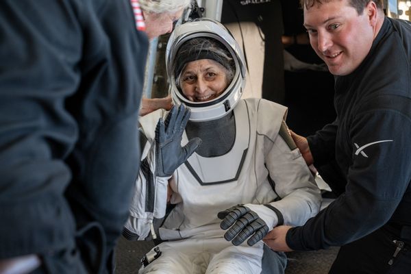 Photos don't show NASA astronaut returned to Earth with dark hair ...