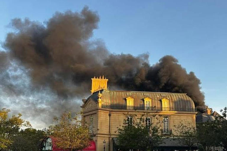 Fire breaks out at Disney's Epcot park in Florida as thick black smoke ...