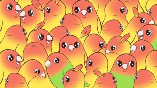 Optical illusion: Spot the hidden mango among parrots and prove you're ...