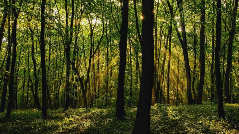 9 destinations across the world surrounded by unsettling tales and ...