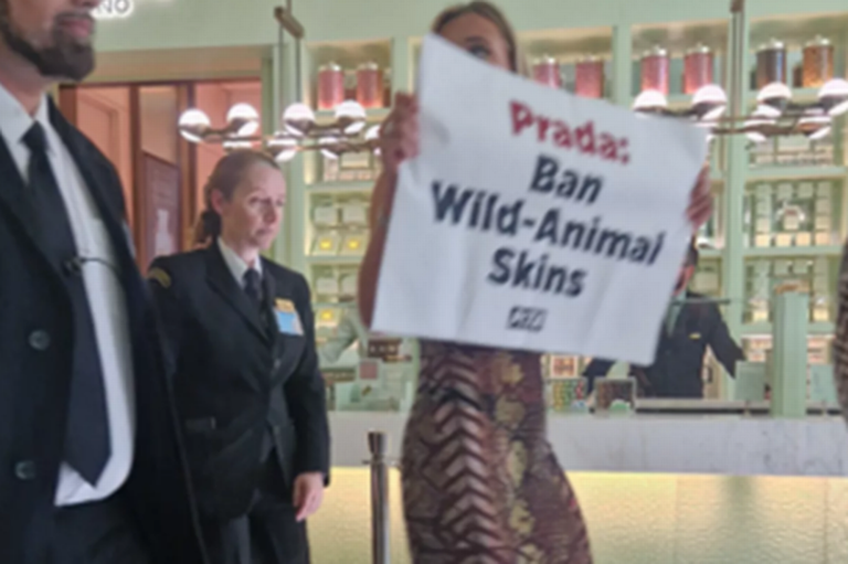 Scots PETA activist thrown out Harrods Prada Caffè over animal skin stunt
