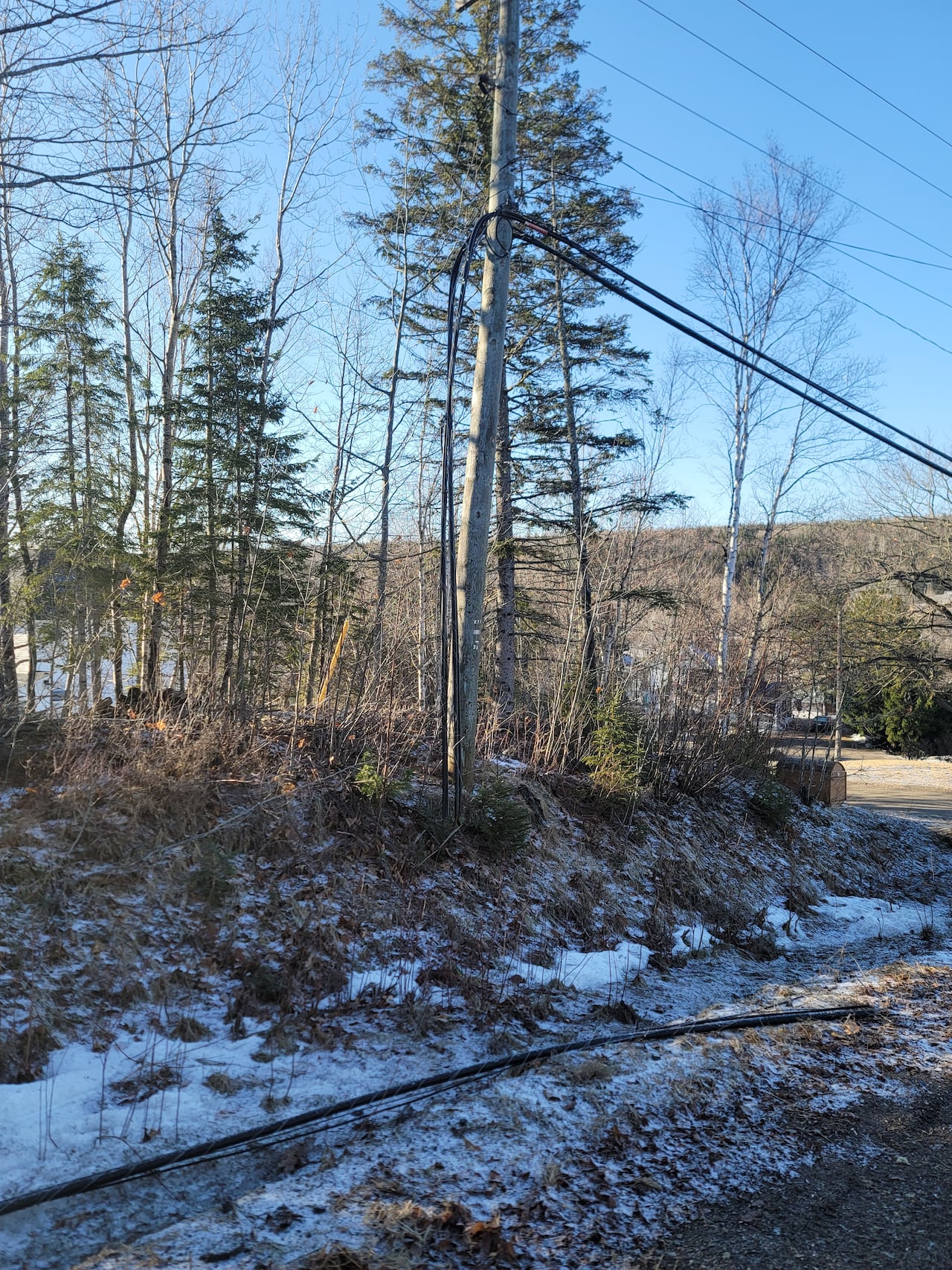 Cable theft in Fredericton leaves some Bell Aliant customers without TV ...