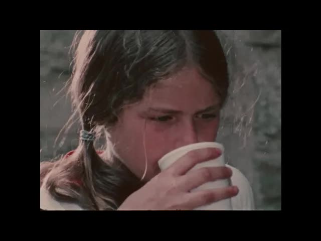 Poisonous Plants: Identifying Poison Oak, Ivy, & Sumac