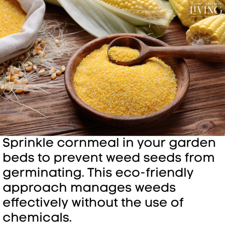 50+ Life Hacks You Need to Try