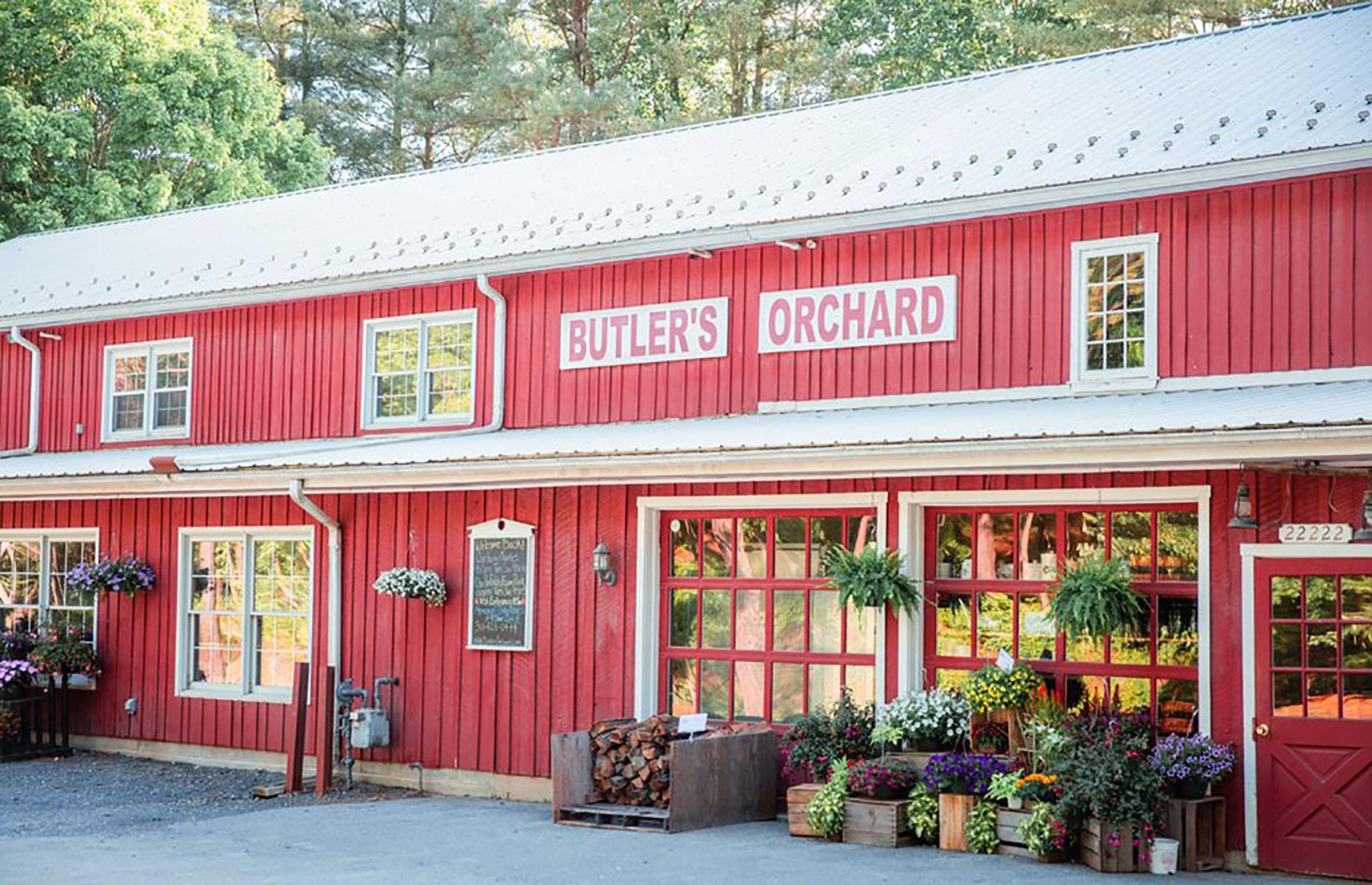 Where To Find Your State's Best Farm Shop For Fresh Produce