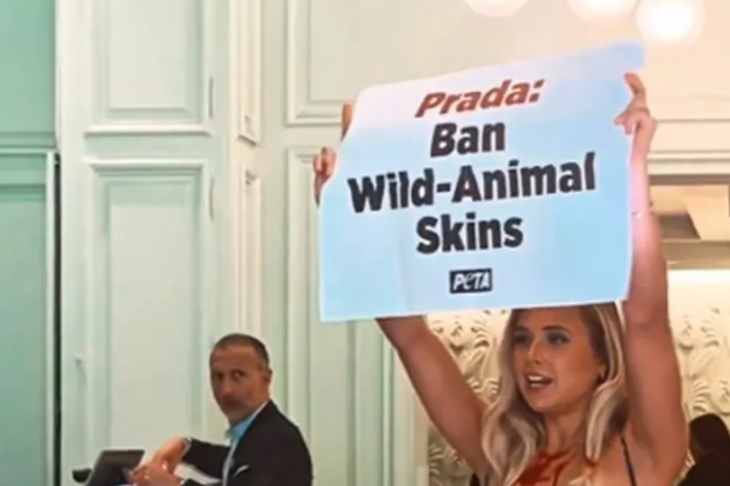 Scots PETA activist thrown out Harrods Prada Caffè over animal skin stunt