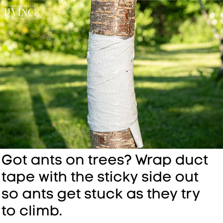 50+ Life Hacks You Need to Try