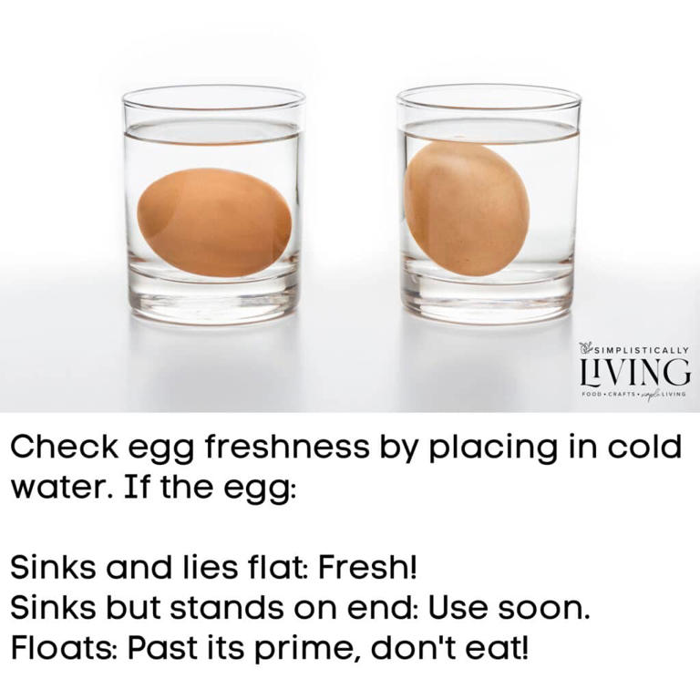 50+ Life Hacks You Need to Try