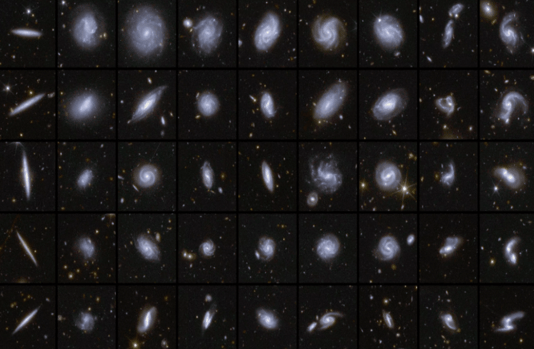 Euclid's first data release: Mapping 26 million galaxies across 10 ...